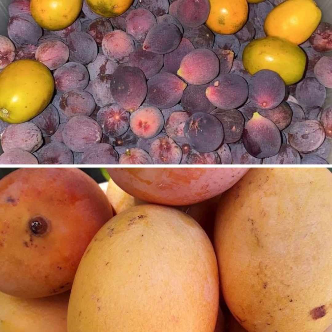 The Bahamian Diet Ingredients are Nutrient Packed