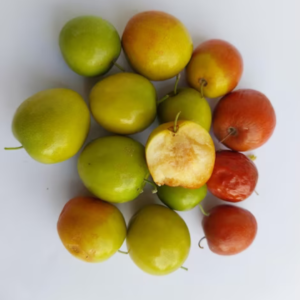 Explore some of the best Bahamian Tropical fruits (part 1)