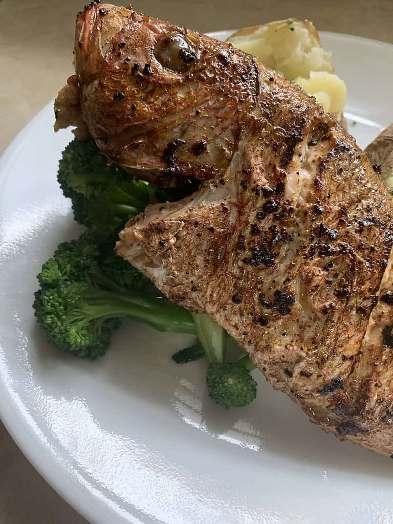 How to Fry Fish Bahamian Style: A Crispy Island Delight | LandSea Meals ...